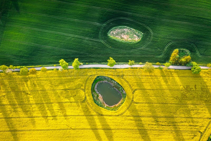 Top Down View of Wheat and Fields in Countryside Stock Photo - Image of ...