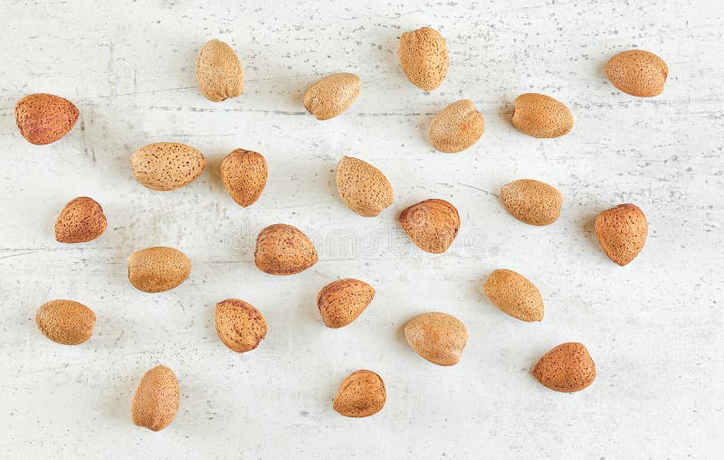 Top Down View, Whole Almonds in Shell on White Stone Board Stock Image ...