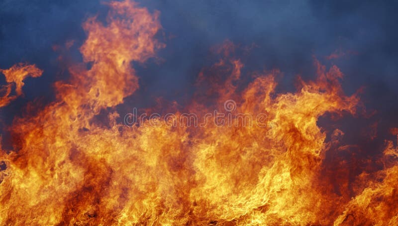 A Top-down View of a Wildfire Tearing through a Dense Forest, Causing a ...
