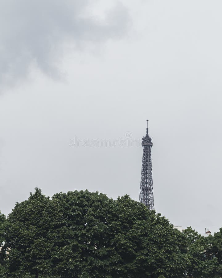 Top of Eiffel Tower Over Trees in Paris, France Stock Photo - Image of ...