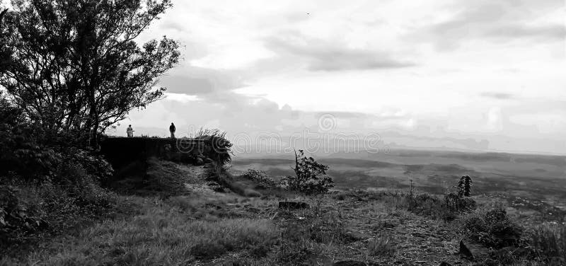 Top of fort stock image. Image of grass, forest, photograph - 198902307