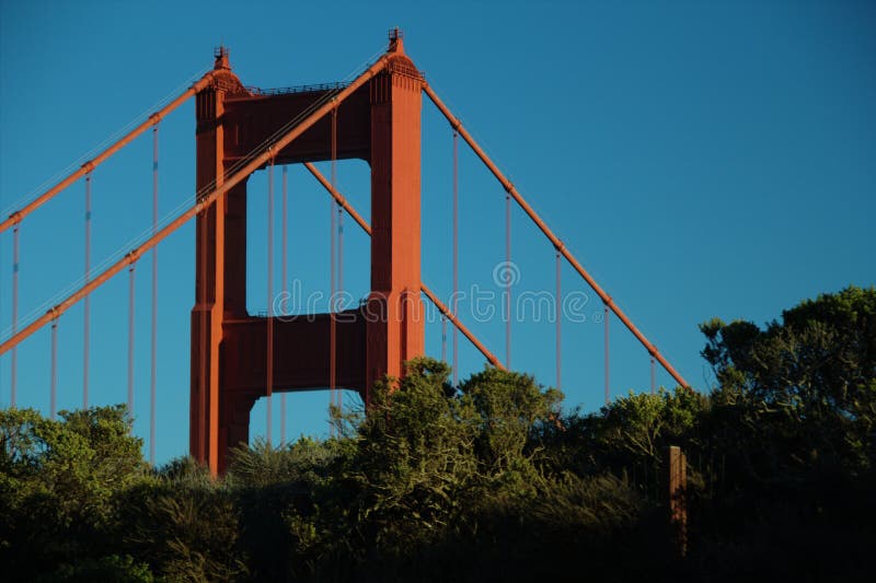 Top of the Golden Gate Bridge and Trees Stock Photo - Image of city ...
