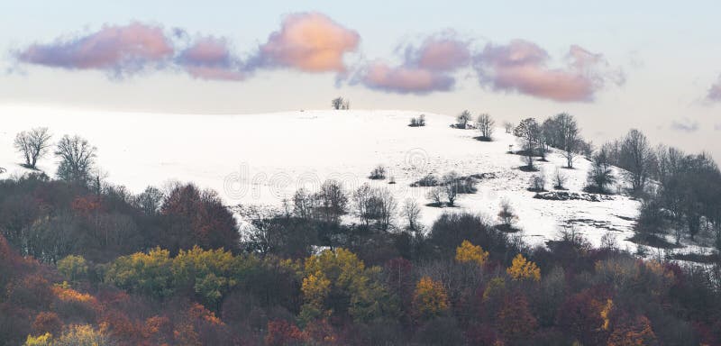 Top of a Hill with Trees Covered in Snow Stock Photo - Image of hill ...