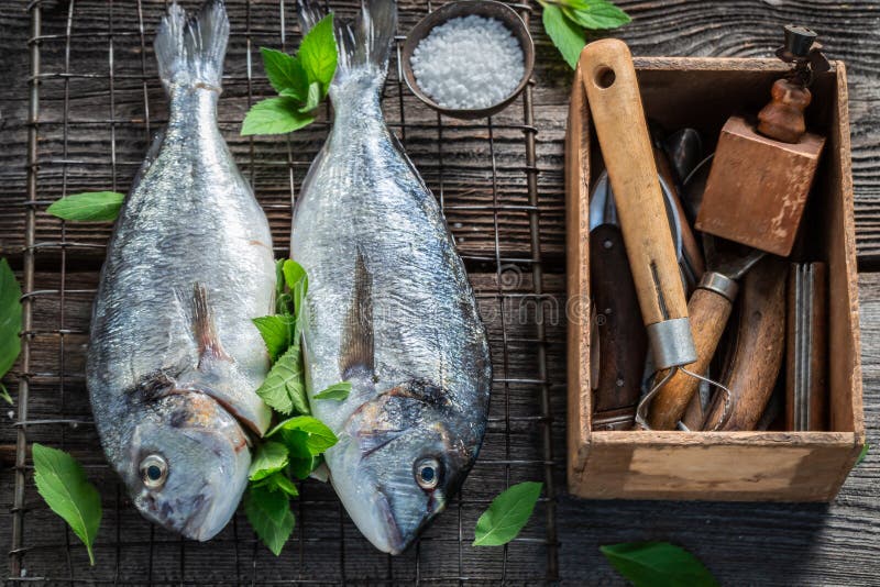 Seasoning Freshly Caught Fish with Lemon Stock Photo - Image of bream ...
