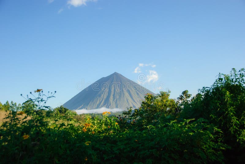 The Top of Inerie Volcano, Indonesia Stock Photo - Image of flores ...