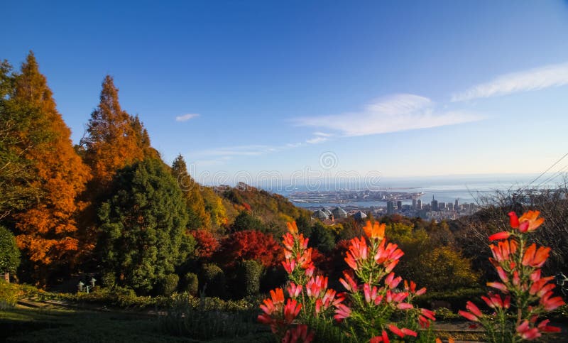 Top of Kobe stock photo. Image of landscape, ropeway - 172980732