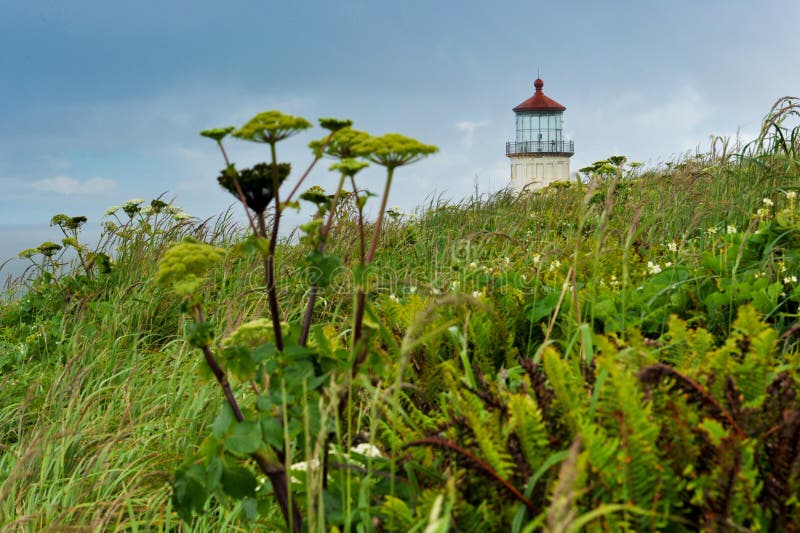 Top of a Lighthouse Seen Over a Field Stock Photo - Image of light ...