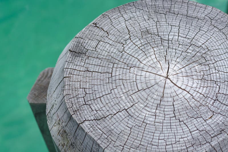 Top of a Log Post at the Pier Against a Blurred Background Stock Photo ...
