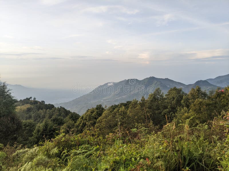 Mt.Prau stock photo. Image of cloud, morning, meadow - 264935426