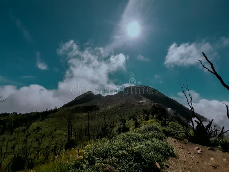 In TOP of MT TALANG stock photo. Image of forest, plateau - 235665134