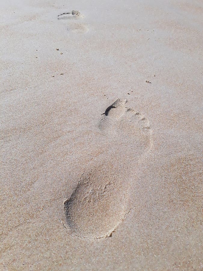 Footprints in the sand stock image. Image of print, outdoor - 255085939