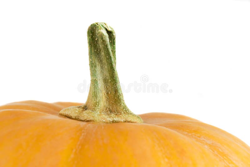 Top of pumpkin stock photo. Image of november, natural - 11079804