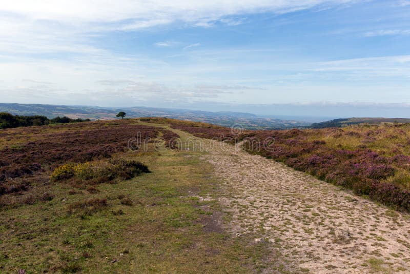 Top of Quantock Hills Somerset England Stock Image - Image of ...