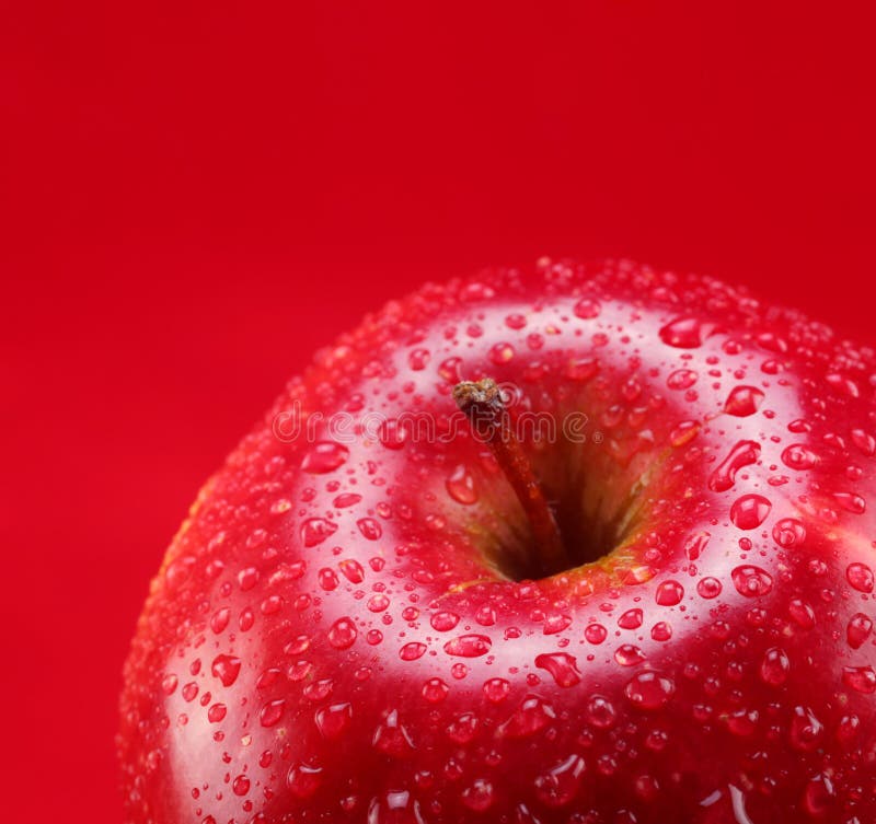 Red apple stock image. Image of fruit, closeup, orange - 37153253