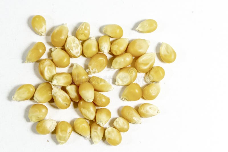 Top Shot of Corn Seeds on White Background Stock Photo - Image of grain ...