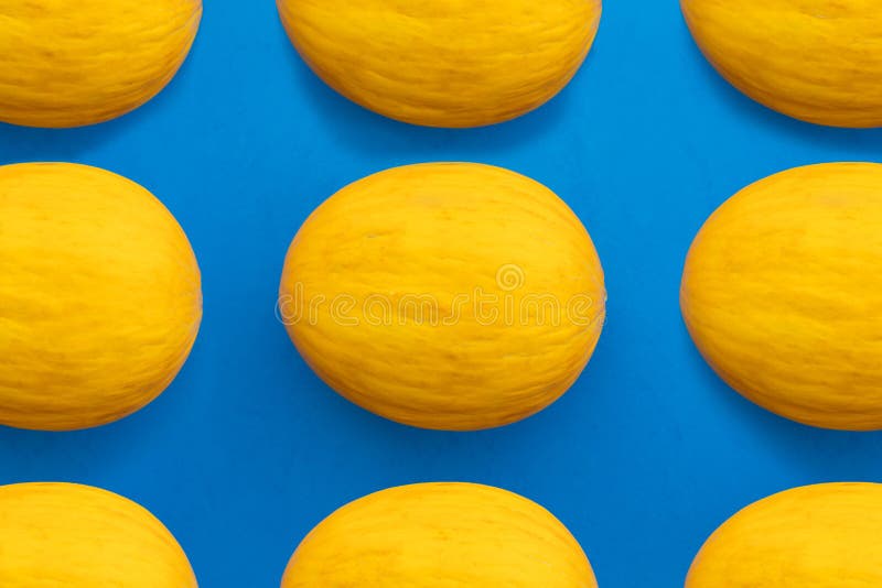 Top Shot of Rows of Organized Sliced Yellow Melon Halves with a Bright ...