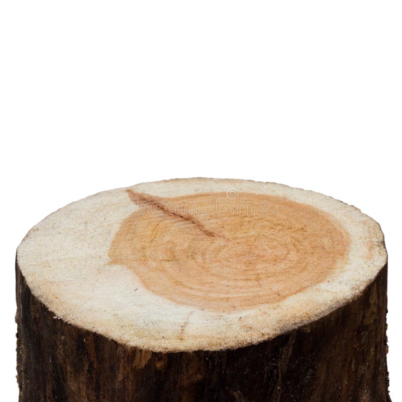 Top of stump log stock photo. Image of lumber, stack - 64497946