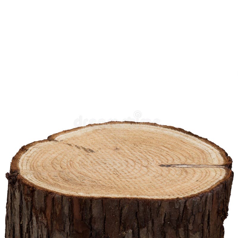 Top of stump log stock photo. Image of lumber, stack - 64497946