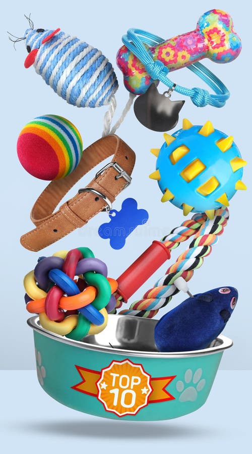 Top Ten List of Best Pet Products on Light Background Stock ...
