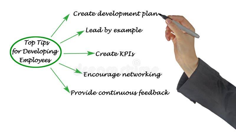Tips for Developing Employees Stock Image - Image of plan, resource ...