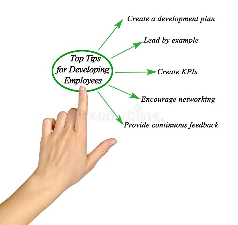 Tips for Developing Employees Stock Photo - Image of manger, developing ...