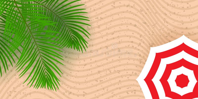 Top Vew of Beach Umbrellas and Palm Tree Stock Vector - Illustration of ...