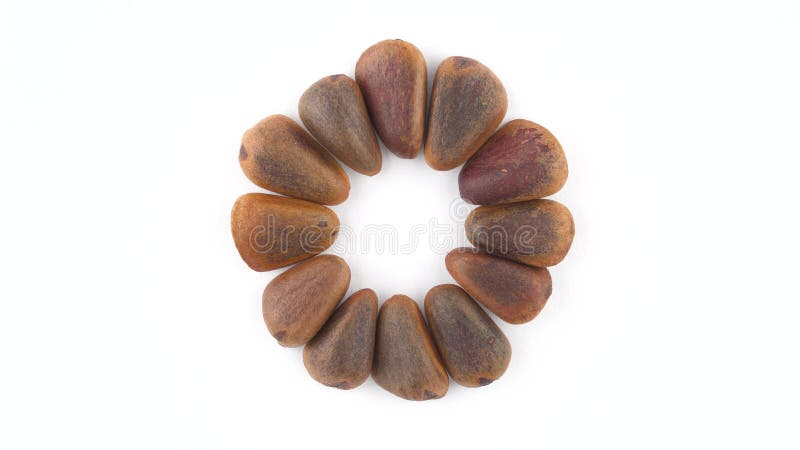 Top View from Above of a Circle Shaped Raw Pine Nuts in Shell. Rotating ...