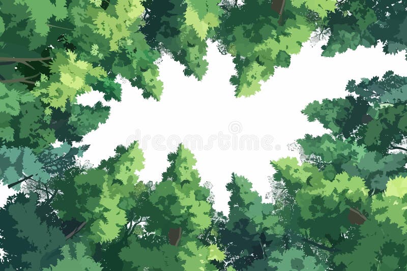Top View Aerial Shot of Forest Isolated Vector Style Stock Vector ...