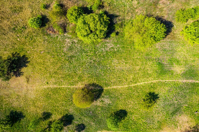 Top View Aerial Shot of Green Field with Grass and Trees Stock Photo ...