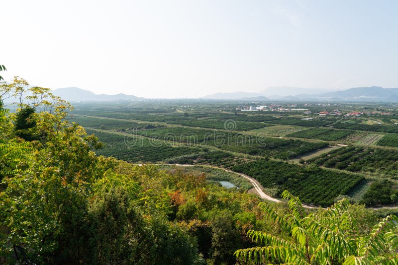 Top View of Agricultural Land. Stock Image - Image of harvesting ...