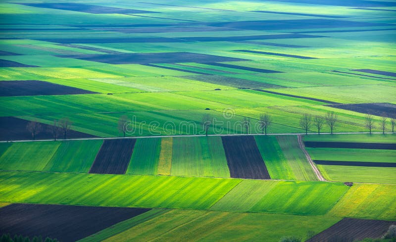 Top View of the Agricultural Parcel. Stock Image - Image of geometric ...