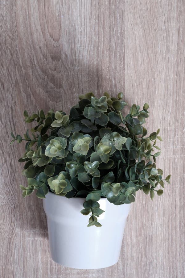 Top View of Artificial Potted Plant on Wooden Table Stock Image - Image ...