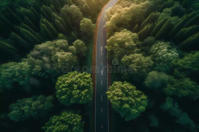 Top View Asphalt Road Green Forest. Generative Ai Design Stock ...