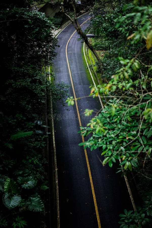 Top View of Asphalt Texture Background. Empty Road from Top View Stock ...