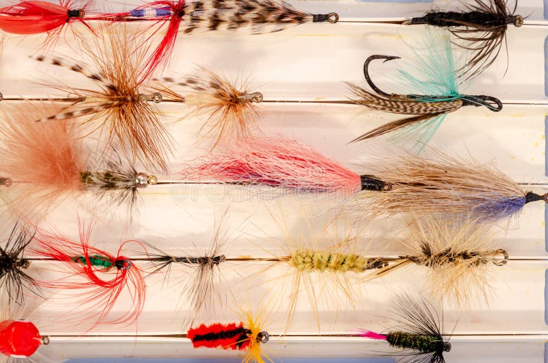 Top View of Assorted Wet and Dry Fishing Flys Stock Image - Image of ...