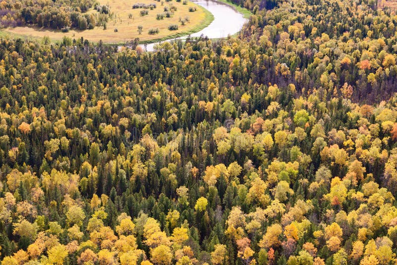 Top view of autumn forest stock image. Image of horizon - 114905635
