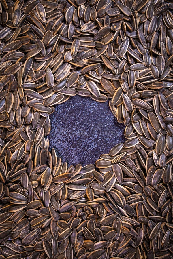 Top View of a Background of Fried Sunflower Seeds. a Circle of Seeds on ...