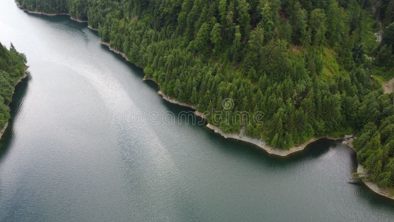 Top View of a Beautiful Lake Flowing in the Forest Stock Photo - Image ...