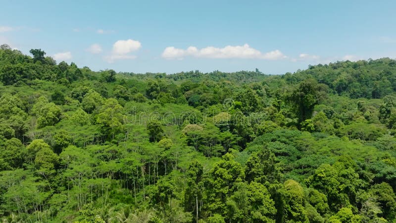 Top View of Tropical Mountain in Mindanao, Philippines. Stock Footage ...