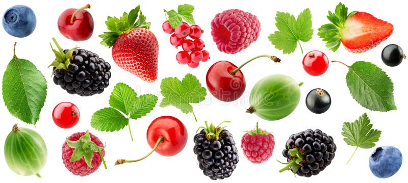 Top View of Berry Mix with Leaves Isolated on White Background Stock ...