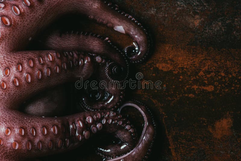 Top View of Big Octopus Tentacles on Rusty Stock Image - Image of ...