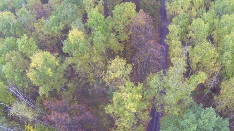 Top View of Big Park with People Going by Stock Video - Video of adult ...