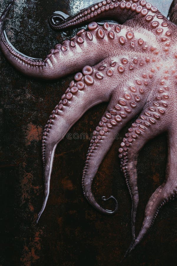 Top View of Big Raw Octopus Tentacles on Rusty Stock Photo - Image of ...