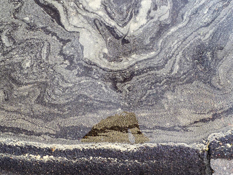 Top View of Birch Pollen on Surface of Rain Puddle Stock Photo - Image ...