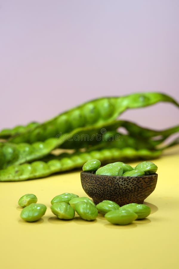 Bitter Beans or Parkia Speciosa Stock Image - Image of beans, speciosa ...