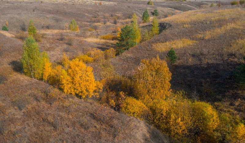 Top View of the Bizarre Shape of the Ravine with Trees Growing Stock ...