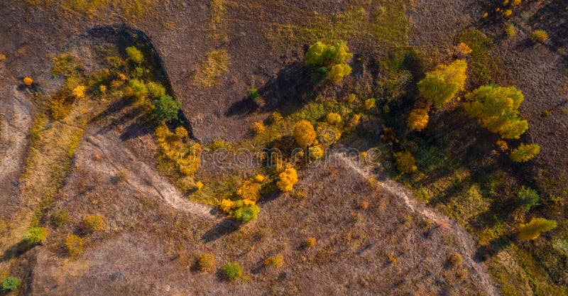 Top View of the Bizarre Shape of the Ravine with Trees Growing Stock ...
