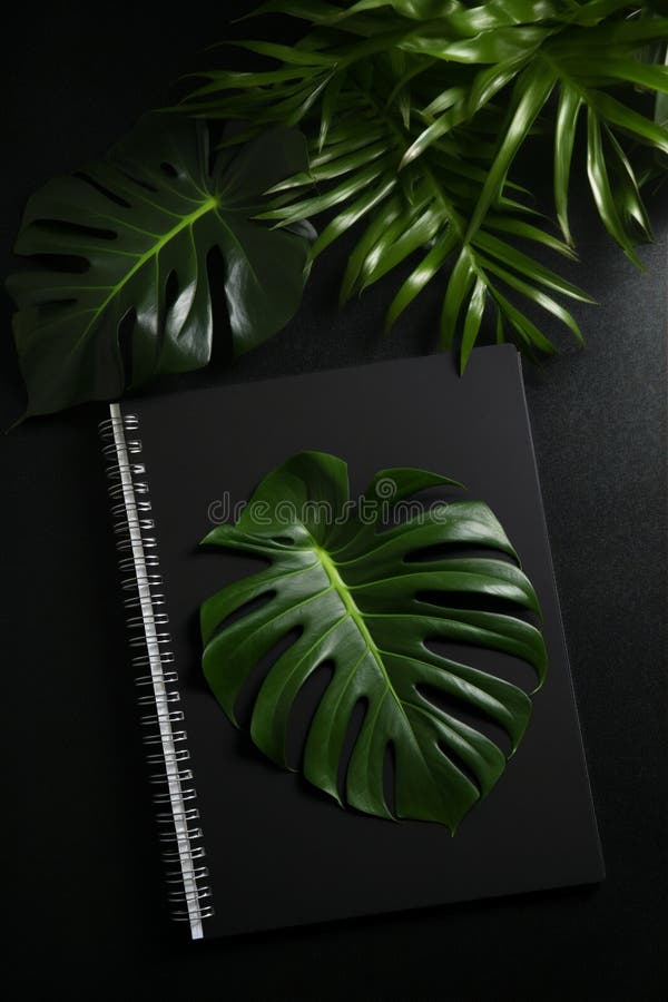 Top View of Black Table Top with Black Notepad with Monstera Leaves ...