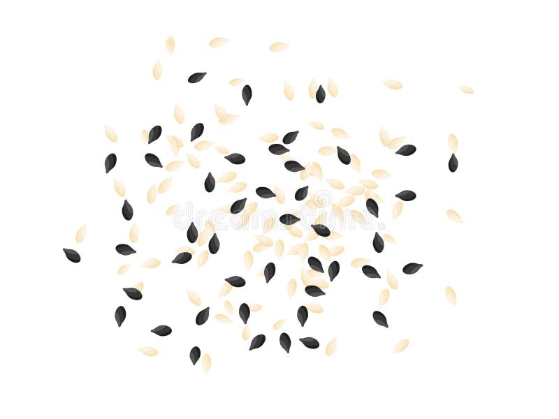Black White Sesame Seeds Illustration Stock Illustrations – 618 Black ...