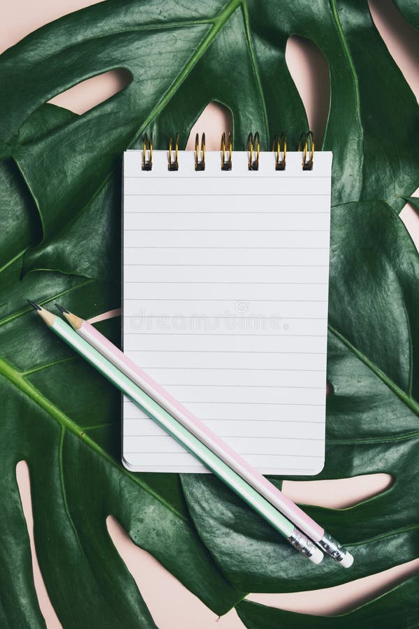 Top View of Blank Open Notepad with Pen on Monstera Leaf and Pink ...